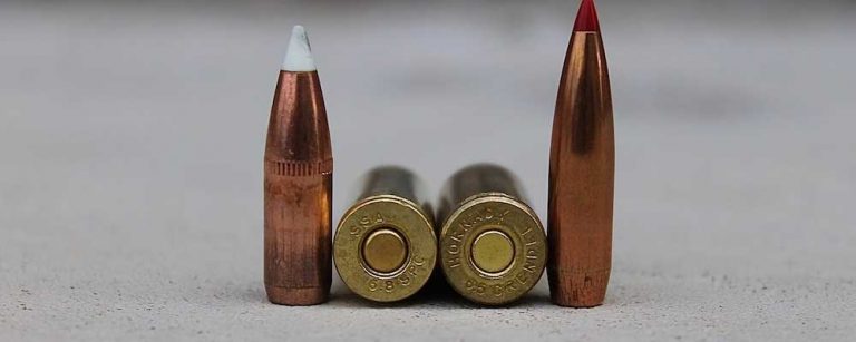 6.8 SPC vs 6.5 Grendel (2022 UPDATED) 5 Key Differences