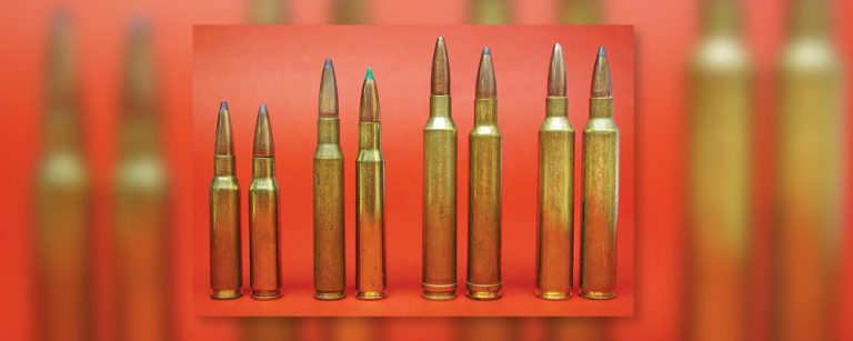 7mm VS 30-06 (2022 UPDATE) Tell-All Comparison